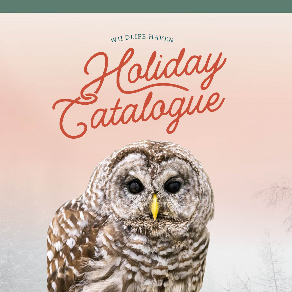 2025 Giving Catalogue - Ambassador Items — Wildlife Haven ...